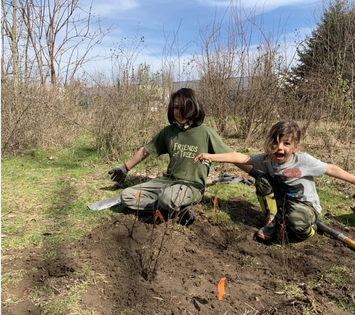 MLK Corridor Neighborhood Planting With Friends of Trees - PDX Parent