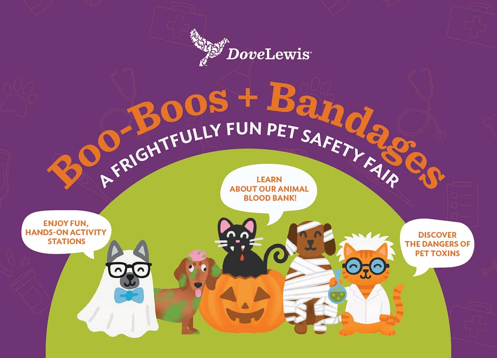 Boo-Boos & Bandages: A Frightfully Fun Pet Safety Fair - PDX Parent