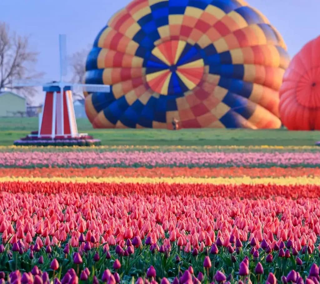 2026 Wooden Shoe Tulip Festival - PDX Parent