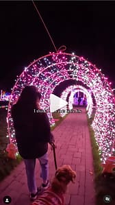 Portland Santa Sightings - PDX Parent