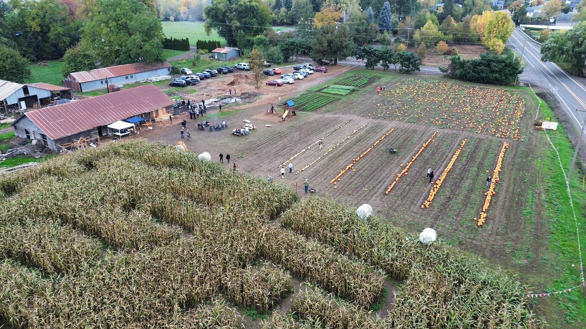 Spend Whatever You Like at These Free Pumpkin Patches - PDX Parent