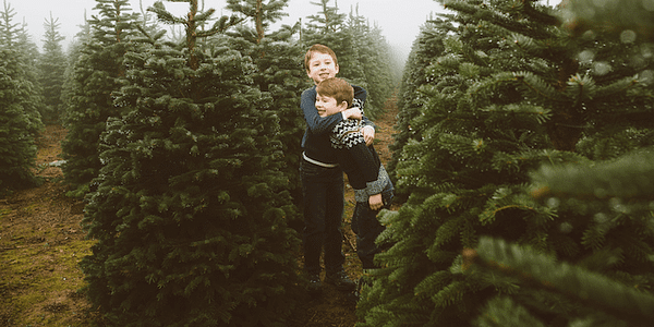 Our Favorite U-Cut Tree Farms - PDX Parent