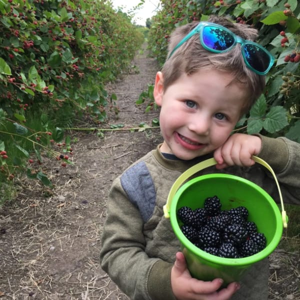 Where to Find U-Pick Pick Berries Near Portland + MAP